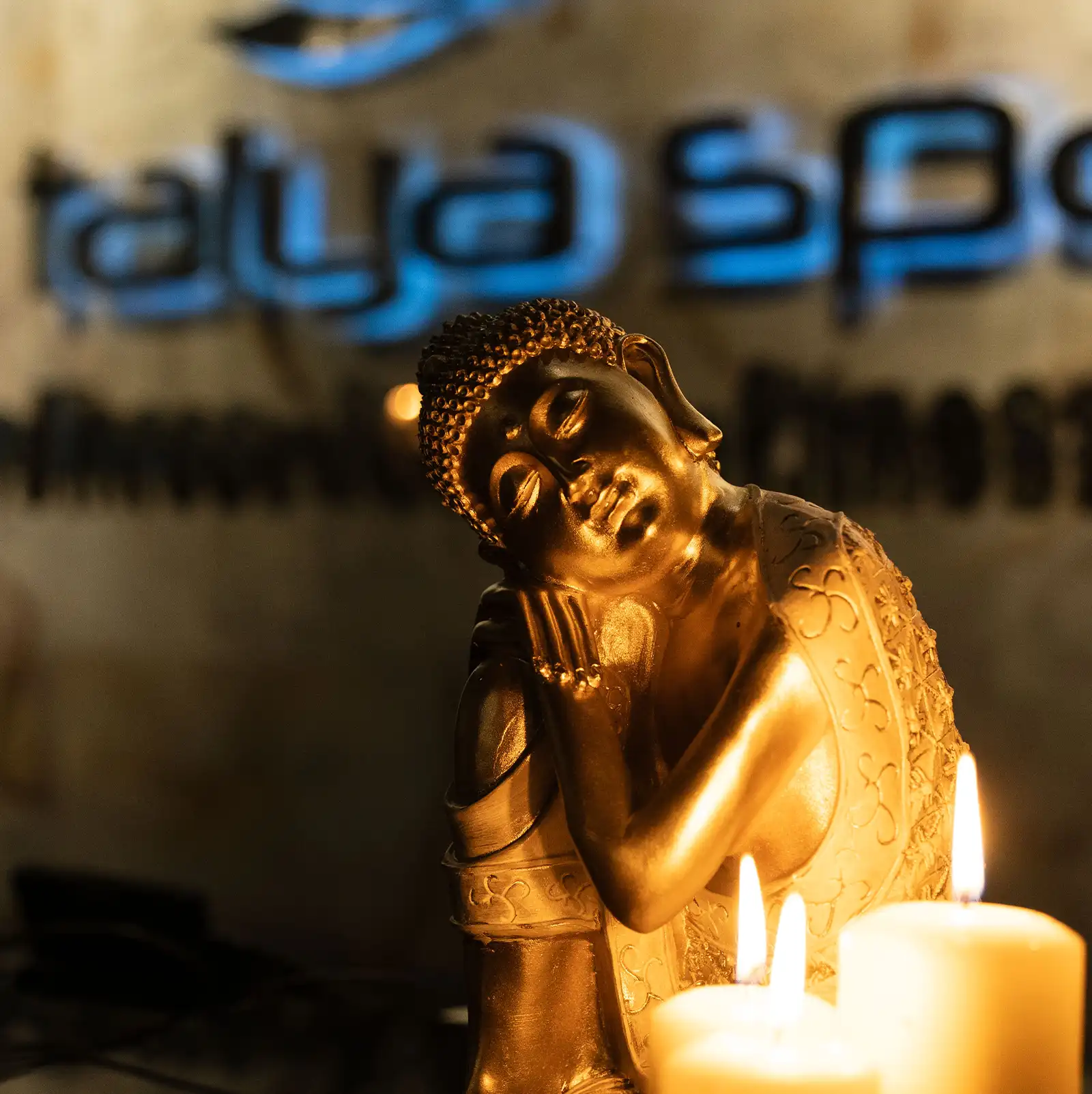 İletişim - Talya Spa